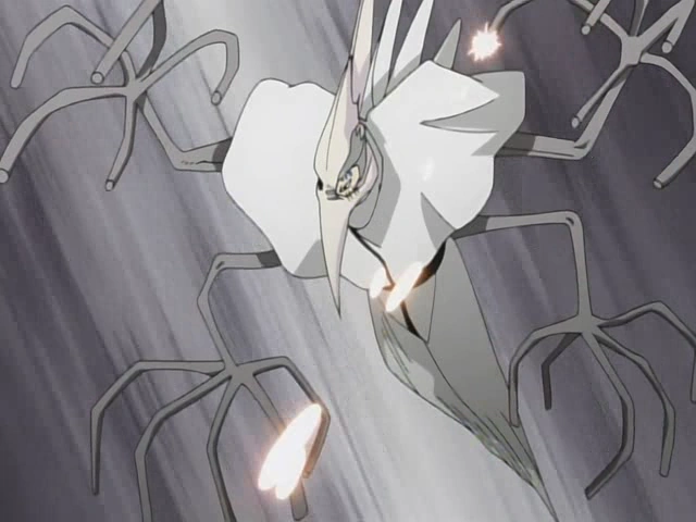 Veintiún Perros | One Piece: Ship of fools Wiki | Fandom