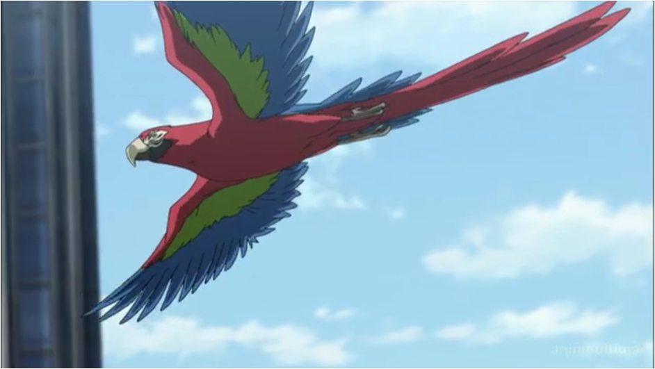 Tori Tori no Mi, Model: Parrot | One Piece: Ship of fools Wiki | Fandom