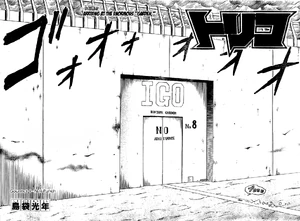 IGO No. 8 | One Piece: Ship of fools Wiki | Fandom