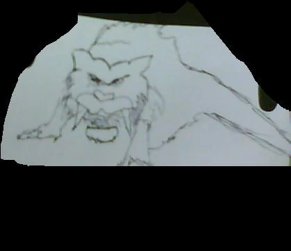 Neko Neko no Mi, Model: Sabretooth Tiger | One Piece: Ship of fools ...