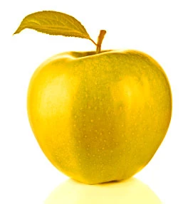 Step Step no Mi | One Piece: Ship of fools Wiki | Fandom