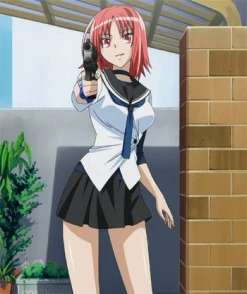 Lance Minerva/History | One Piece: Ship of fools Wiki | Fandom