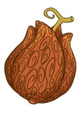 Orora Orora no Mi | One Piece: Ship of fools Wiki | Fandom