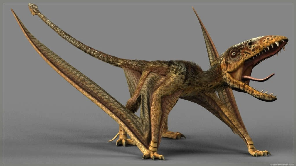 Dino Dino no Mi, Model: Dimorphodon | One Piece: Ship of fools Wiki ...