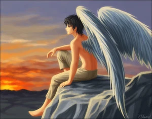 Angelo | One Piece: Ship of fools Wiki | Fandom