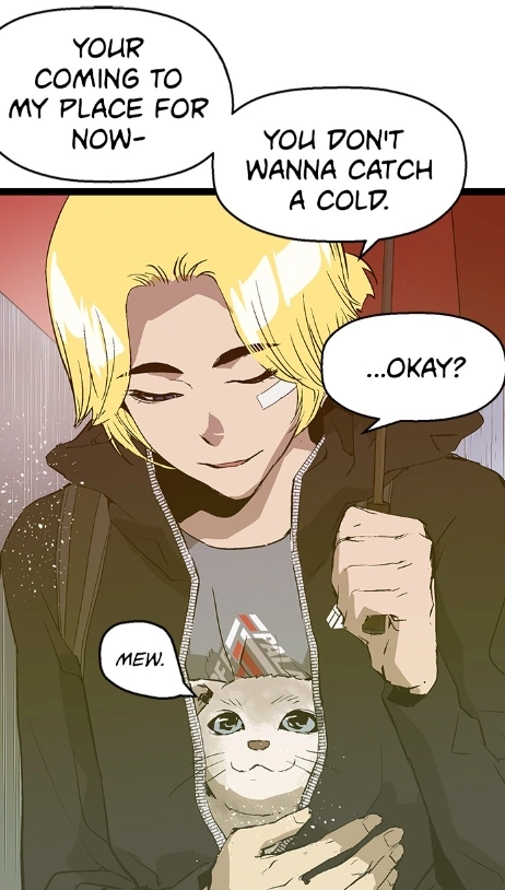 Soda Cats | Shipping Wiki | Fandom