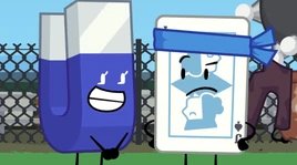 Inanimate Insanity/Ships | Shipping Wiki | Fandom