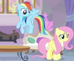 Flutterdash Canon