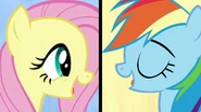 FlutterDash | Shipping Wiki | Fandom