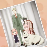 Forger Family/Gallery | Shipping Wiki | Fandom