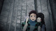 NezuTan | Shipping Wiki | Fandom