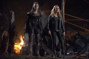 Clexa | Shipping Wiki | Fandom