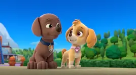 PAW Patrol/Ships/Het | Shipping Wiki | Fandom