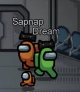 Dreamnap/Gallery | Shipping Wiki | Fandom