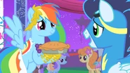 SoarinDash | Shipping Wiki | Fandom