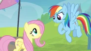 FlutterDash/Gallery | Shipping Wiki | Fandom