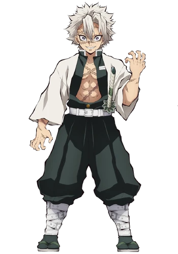 Sanemi Shinazugawa | Shipping Wiki | Fandom