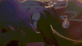 PhaiStelle | Shipping Wiki | Fandom