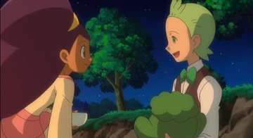 ash x cilan