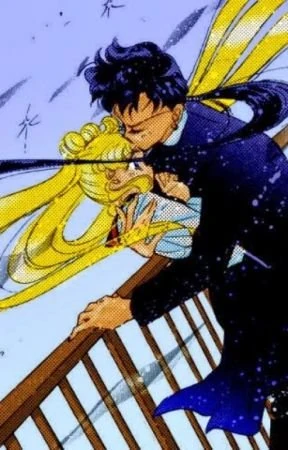 SeiUsa | Shipping Wiki | Fandom