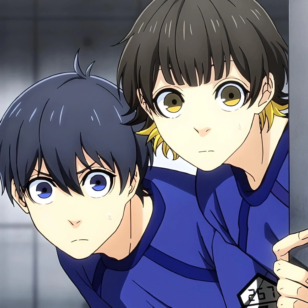 Bachisagi/Gallery | Shipping Wiki | Fandom