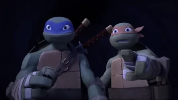 Tmnt Mikey And Leo