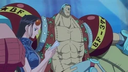 Robin And Franky
