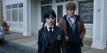 Wyler | Shipping Wiki | Fandom