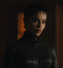 Selina Kyle | Shipping Wiki | Fandom