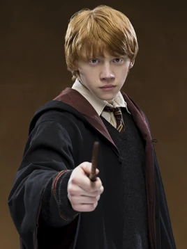 Ron Weasley | Wiki Shipping | Fandom