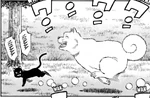 MiyaIppo | Shipping Wiki | Fandom