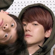 Chanbaek | Shipping Wiki | Fandom