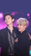 Chanbaek | Shipping Wiki | Fandom
