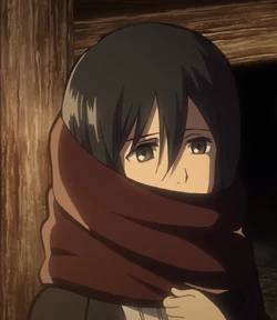 Mikasa Ackerman Scarf