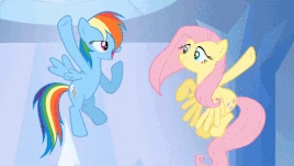 FlutterDash | Shipping Wiki | Fandom