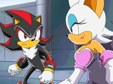 Shadow And Rouge Sonic X
