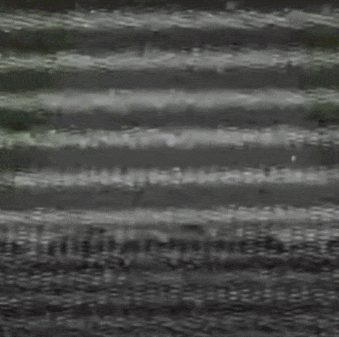 FlowerVision | Shipping Wiki | Fandom