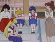 Inner Senshi | Shipping Wiki | Fandom