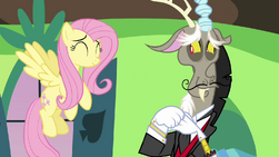 Fluttercord | Shipping Wiki | Fandom