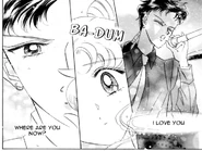 SeiUsa | Shipping Wiki | Fandom