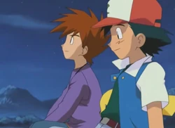 Palletshipping Hints