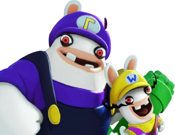 Raving Rabbidsships Shipping Wiki Fandom