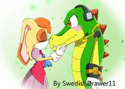 Vanilla And Vector Sonic