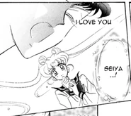 SeiUsa | Shipping Wiki | Fandom