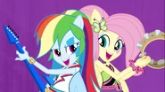 FlutterDash | Shipping Wiki | Fandom