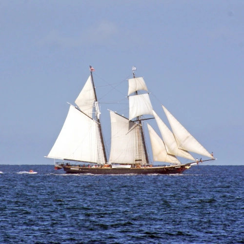 Jim Wolfensteinses (junior) | Shipton Shipping Company Wiki | Fandom