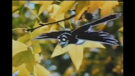 Ross Higgins | Shires Wiki | Fandom