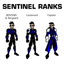 SENTINEL | SHIVA Wiki | Fandom