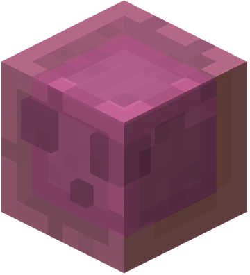 Purple Slime Minecraft