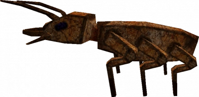 Calpod | RLCraft Wiki | Fandom